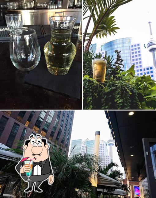 Fox on John, 106 John St #3 in Toronto - Restaurant menu and reviews