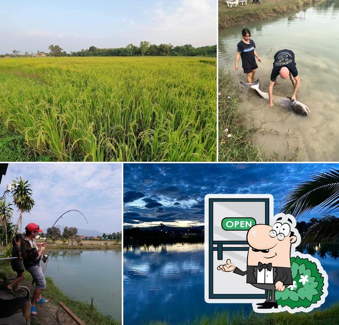 Go Bee Fishing Park, Chiang Mai, Thailand, Hang Dong