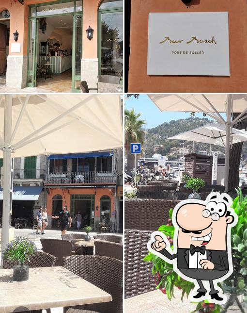 Bar Bosch Port de Sóller, Puerto de Sóller - Menú del restaurante ...