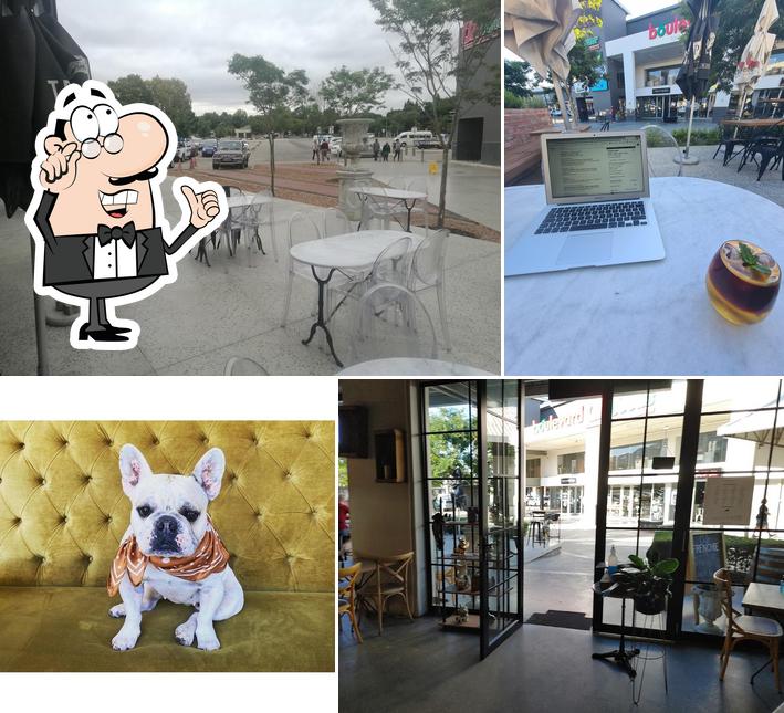 Cafe Frenchie, Paarl - Restaurant menu and reviews