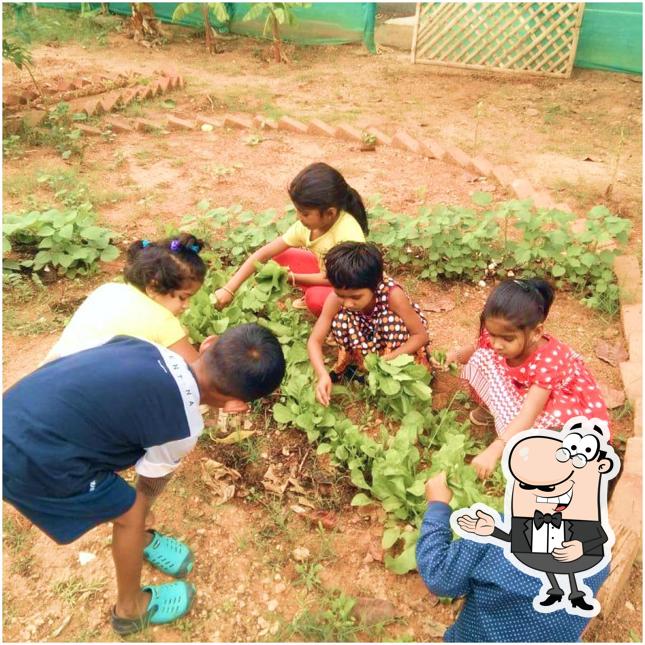 Chiguru - A Waldorf Kindergarten, Bengaluru - Restaurant reviews