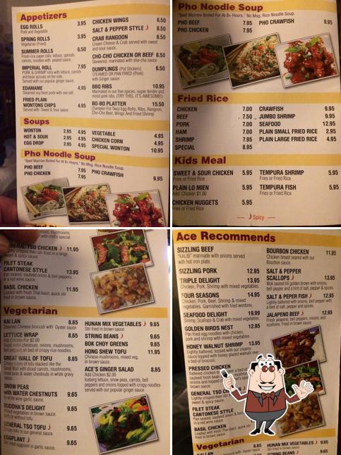 Ace Chinese Restaurant, The Woodlands - Restaurant menu, prices and reviews