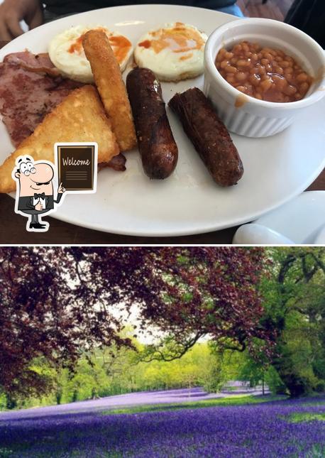 Bluebells Cafe, East Grinstead - Restaurant menu, prices and reviews