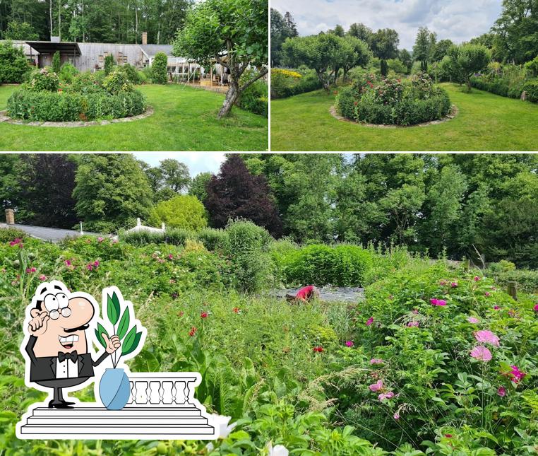 Pythouse Kitchen Garden in Tisbury - Restaurant menu and reviews