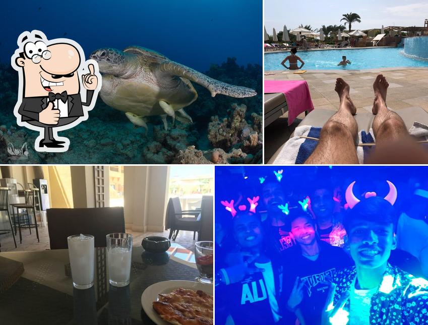 Dolphin Bar, Egipto - Restaurantbewertungen