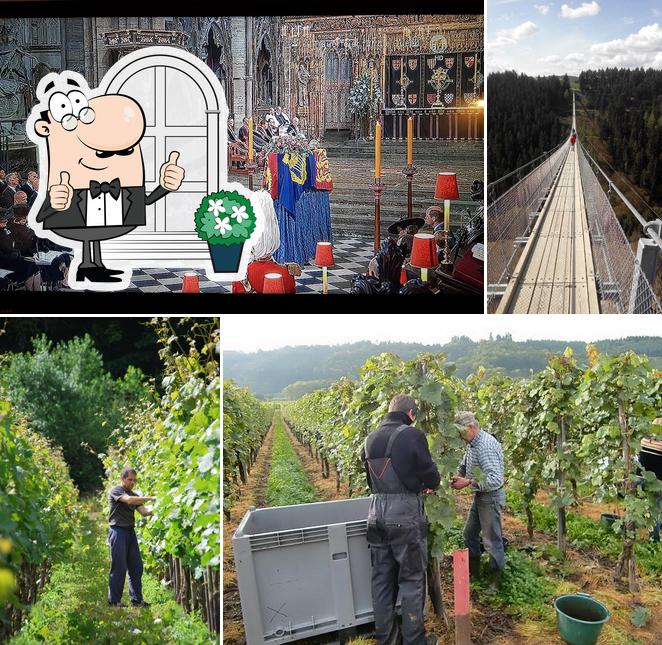 Weingut Leo Klaus pub & Bar, Ernst - Restaurantbewertungen