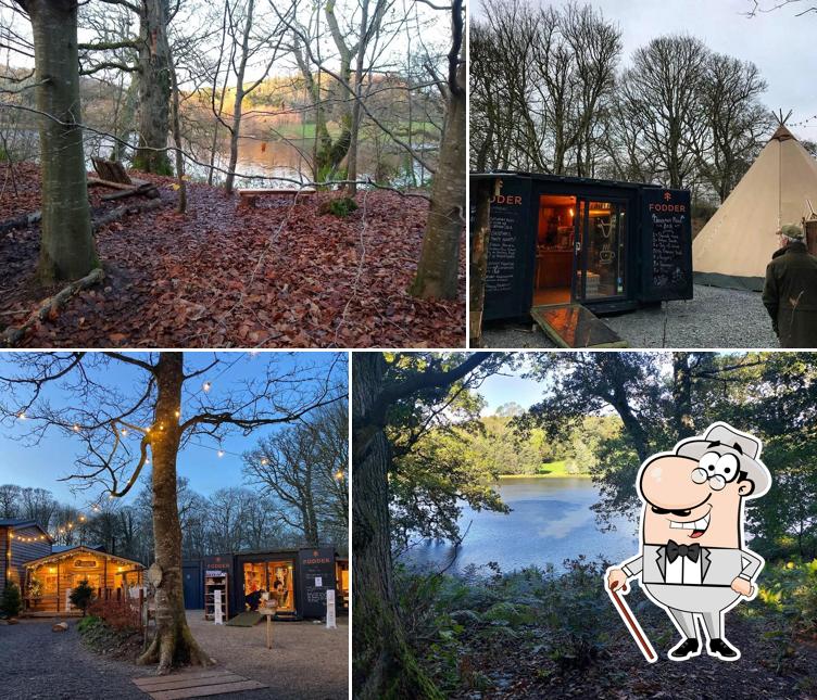Fodder in the Woods in Downpatrick - Restaurant menu and reviews