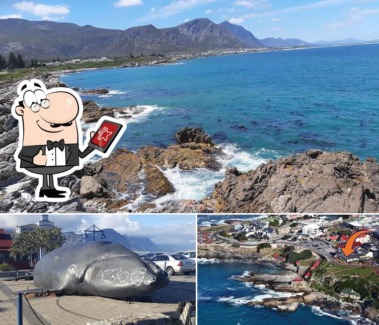 Fusion Restaurant - Hermanus, Hermanus - Restaurant menu, prices and ...