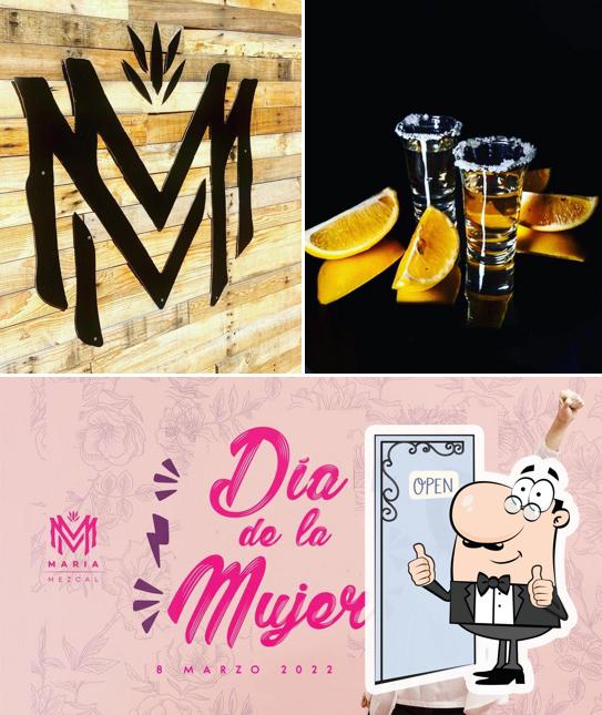 María Mezcal, San Luis Potosi - Menú del restaurante, precios y reseñas