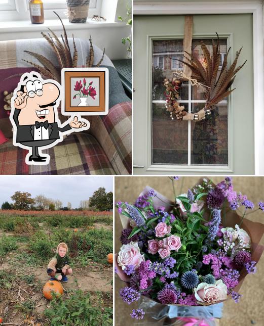 Taywell Farm Shop in Cranbrook - Restaurant reviews