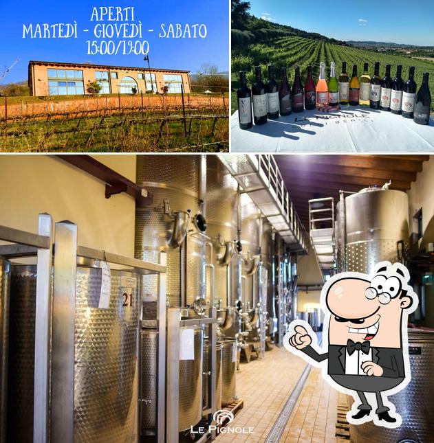 Le Pignole di Boracchi Serena, Brendola - Recensioni del ristorante