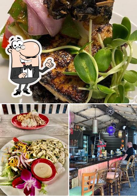 The Honu, Dunedin - Restaurant menu, prices and reviews