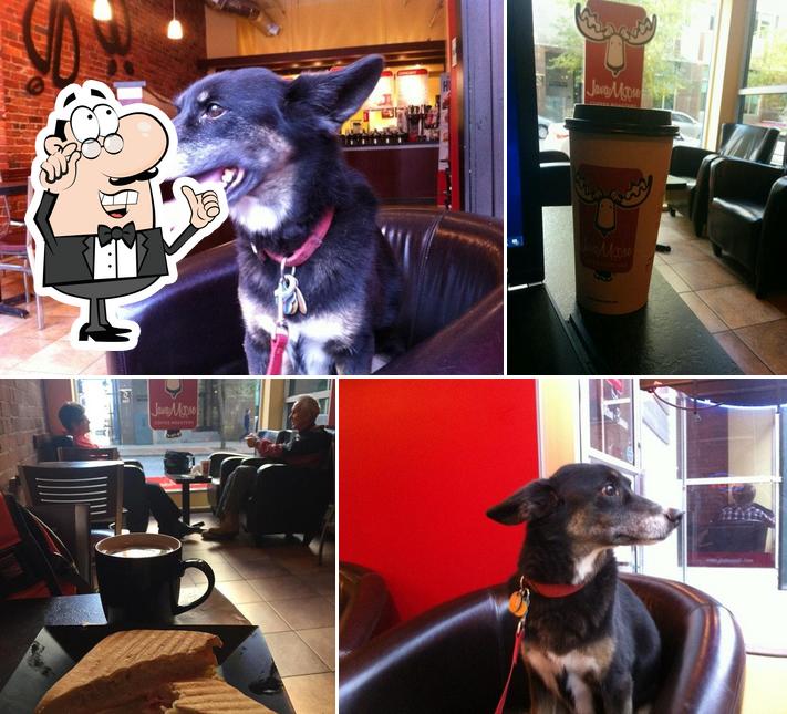 Java Moose, 84 Prince William St in Saint John - Restaurant menu and ...