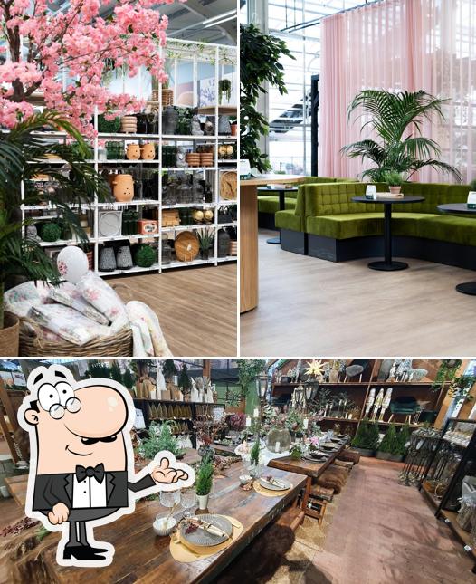 Plantorama Tilst, Tilst - Restaurant menu, prices and reviews