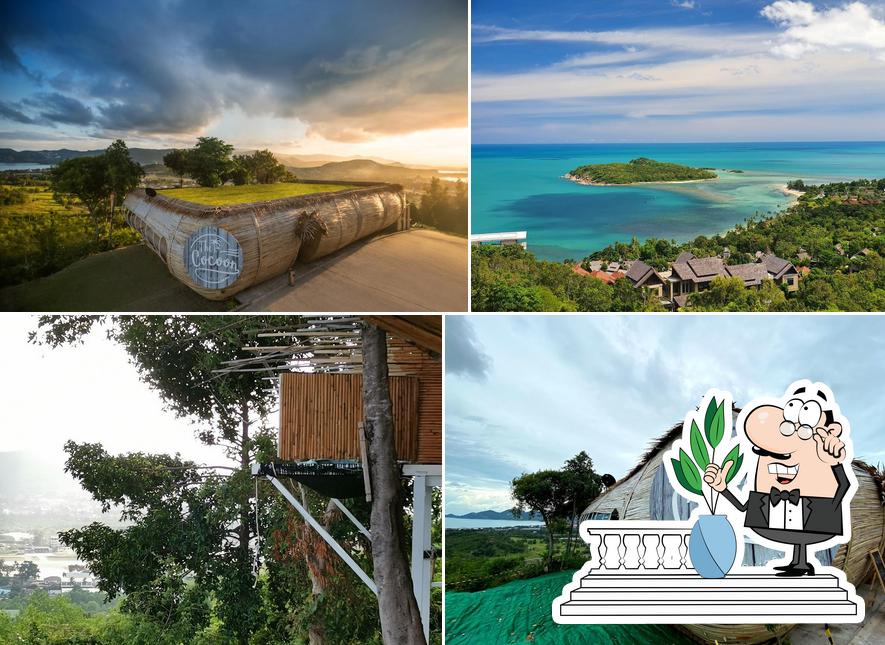 THE COCOON - SAMUI VIEWPOINT, Ko Samui - Restaurant menu, prices and ...