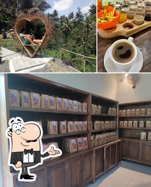 Intan sari luwak coffee & bali swing bukit, Pejeng Kaja - Restaurant ...