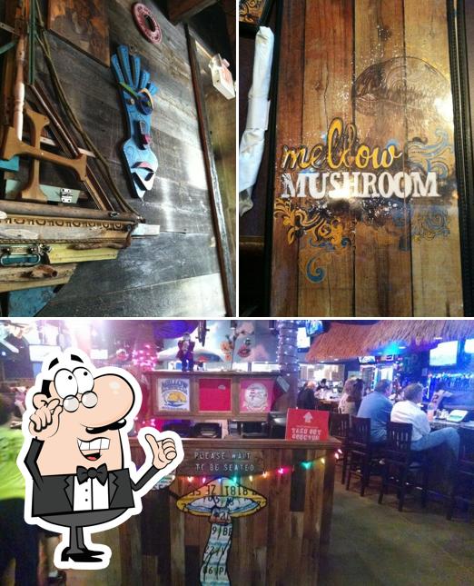 Mellow Mushroom Hilton Head Island, Hilton Head Island - Restaurant ...