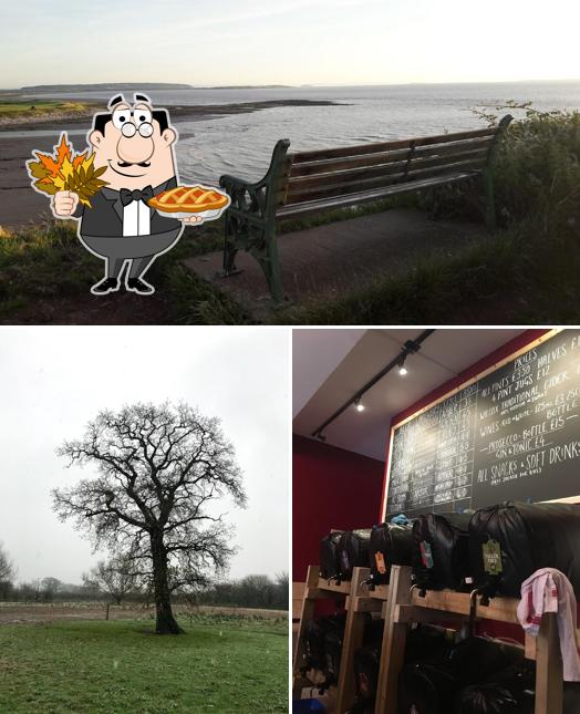 Fallen Tree Micropub in Clevedon - Restaurant reviews