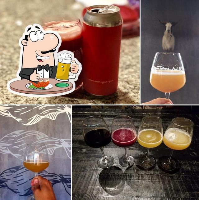 The Veil Brewing in Richmond - Restaurant reviews