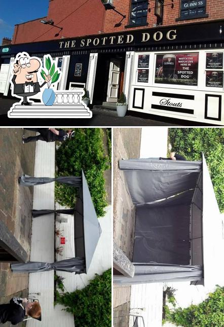 The Spotted Dog in Limerick - Restaurant reviews