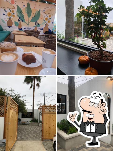 Primor Café, Tijuana - Menú del restaurante, precios y reseñas
