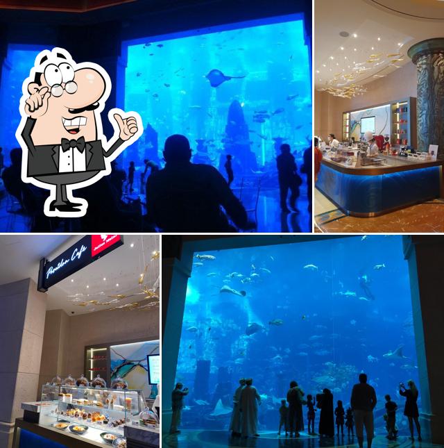 Poseidon Café cafe, Dubai, 3 Crescent East - Restaurant reviews