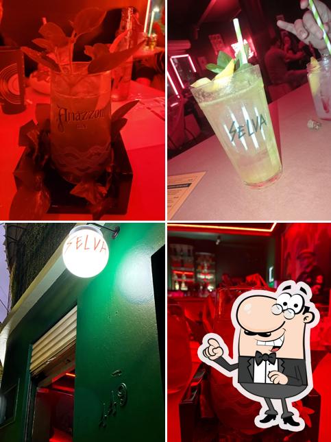 SELVA Bar Floripa, Florianópolis - Avaliações de restaurantes