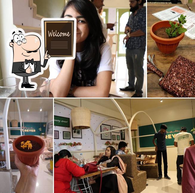 Lush House, Nagpur - Restaurant menu, prices and reviews