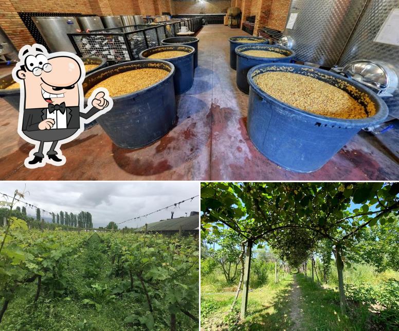 Uka Farm restaurant, Laknas - Restaurant reviews