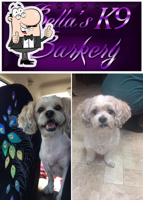 Bella's K9 Barkery in Regina Beach - Restaurant reviews