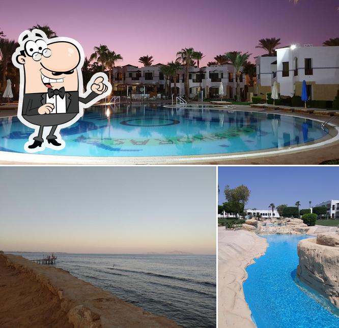 Hotel queen sharm Resort Sharm El Sheikh Hadabet Om El Seid restaurant ...