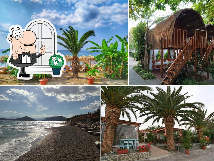 Find the best place to eat in Tolo, winter 2024 - Restaurant Guru
