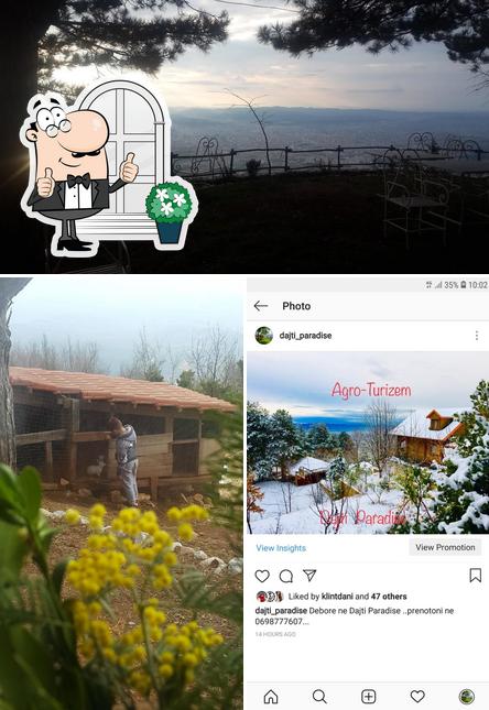 Dajti Paradise restaurant, Tirana - Restaurant reviews