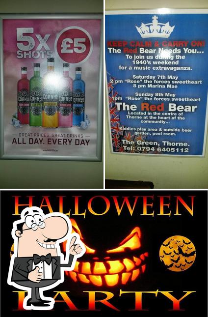 The Red Bear in Moorends - Restaurant reviews