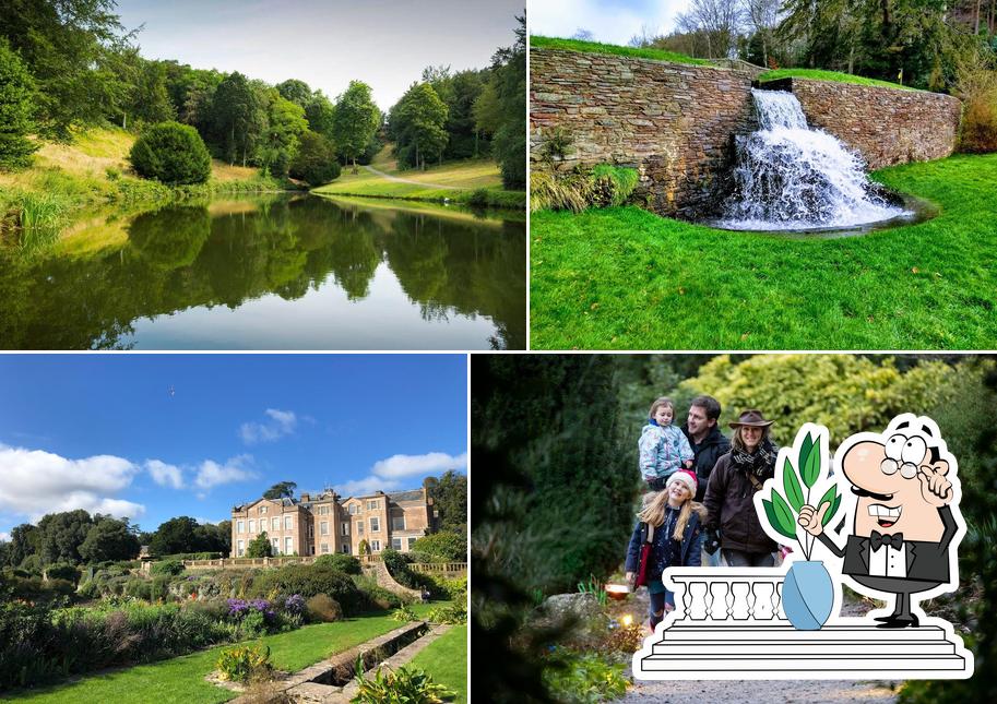 Hestercombe House & Gardens in Taunton - Restaurant reviews