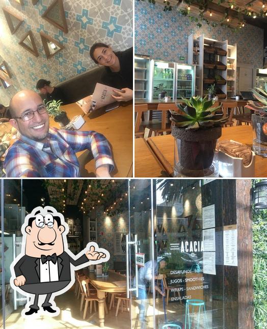 Acacia restaurant, Mexico City - Restaurant menu and reviews