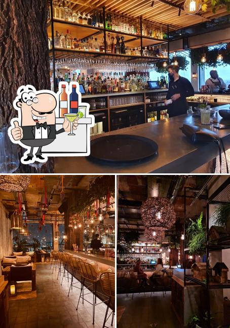 Madera at Treehouse London in London - Restaurant menu and reviews