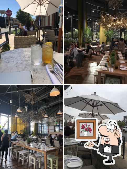 Terrain Cafe in Palo Alto - Restaurant menu and reviews