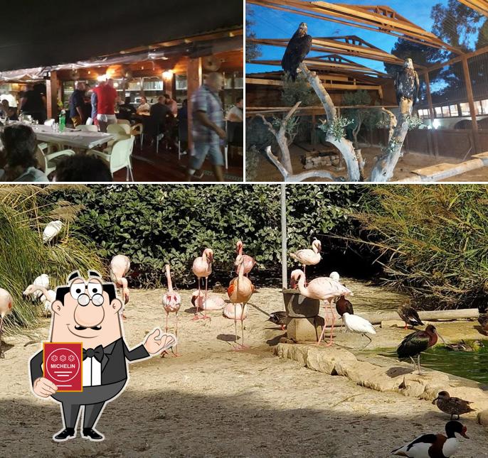 Ta' Susina Farmhouse, Haz-Zebbug - Restaurant menu, prices and reviews