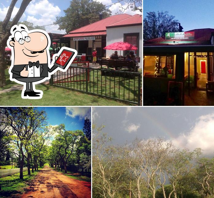 Piacere Ristorante, Cullinan - Italian restaurant menu and reviews