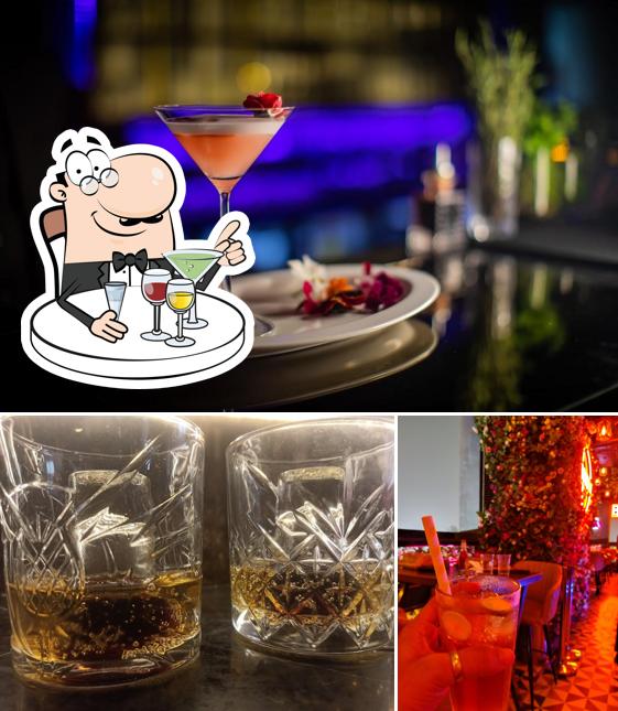 TOY BOY, Noida, Noida Sector 18 - Restaurant menu, prices and reviews