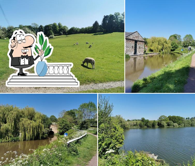 The Tardebigge in Redditch - Restaurant reviews