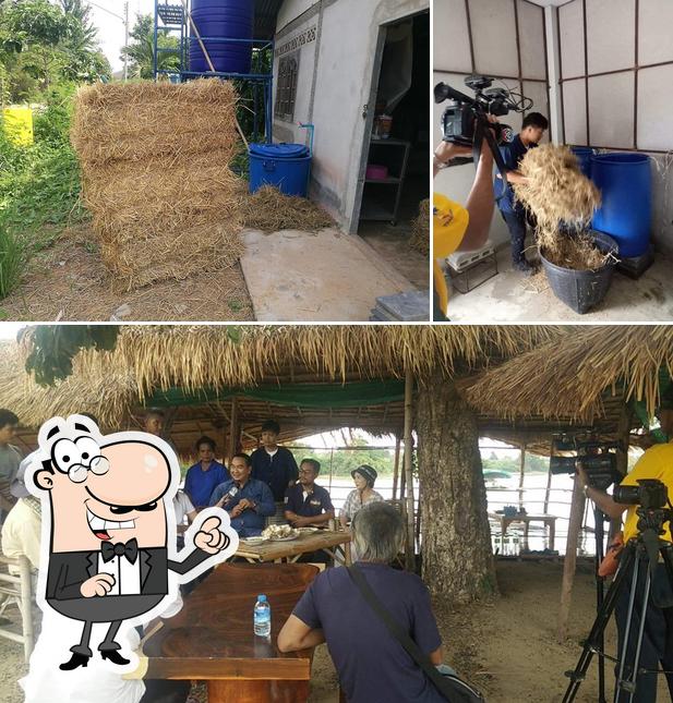 Sunday Farm Wang Sam Mo City, Wang Sam Mo - Restaurant reviews