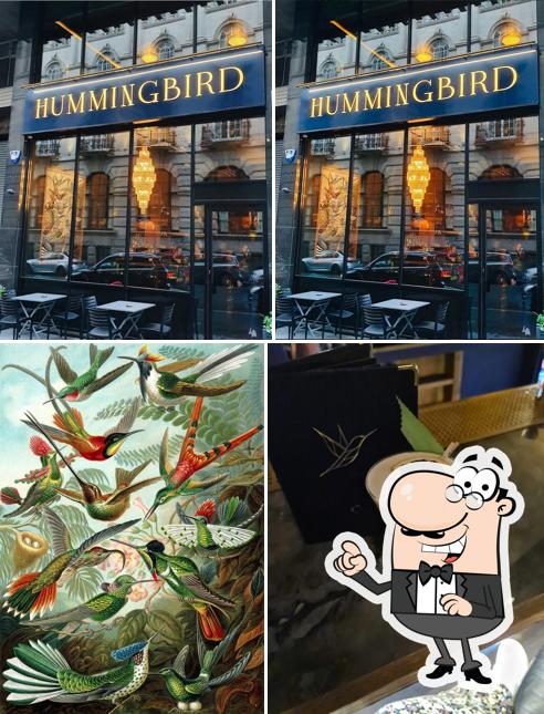 Hummingbird, Liverpool - Restaurant menu, prices and reviews