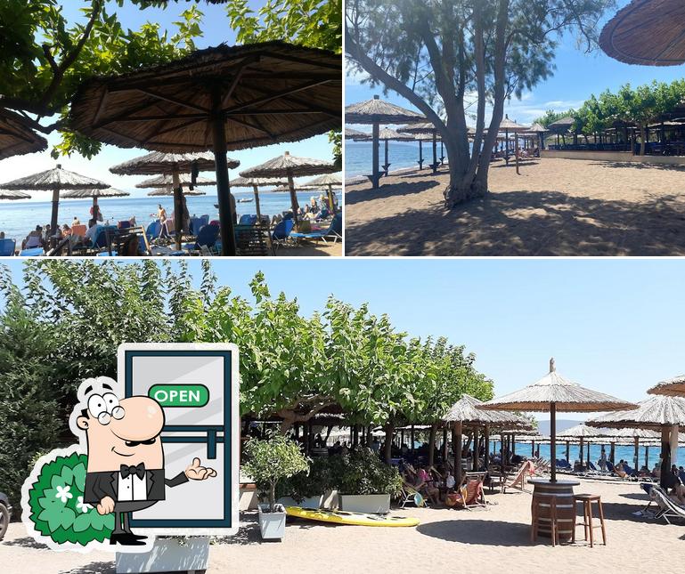 Μπαράκι Candia Beach, Kantia - Restaurant reviews