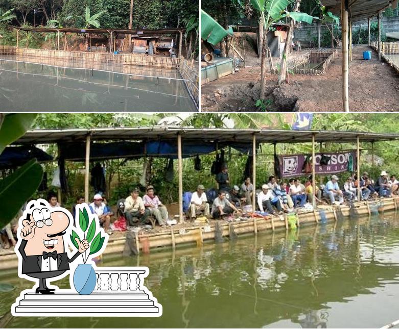 Pemancingan lele KANG UDIN pub & bar, Serang