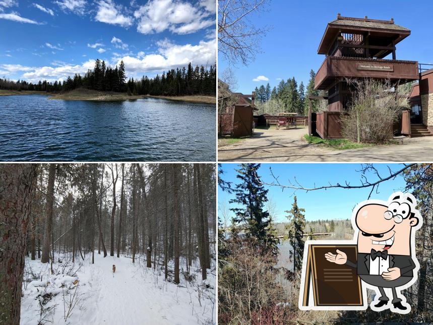 Heritage Ranch in Red Deer - Restaurant reviews