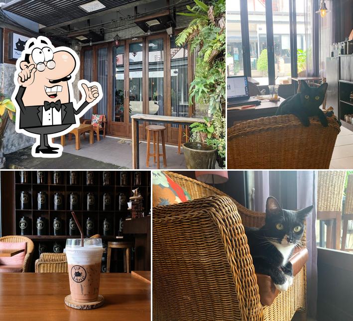 SIP & REPEAT by TeaTales cafe, Chiang Mai - Restaurant reviews