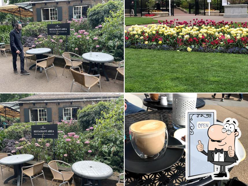 Embankment Café in London - Restaurant reviews