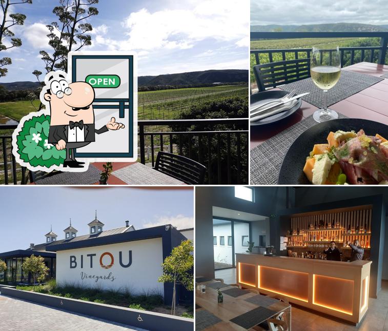Bitou Vineyards, Plettenberg Bay - Restaurant menu, prices and reviews